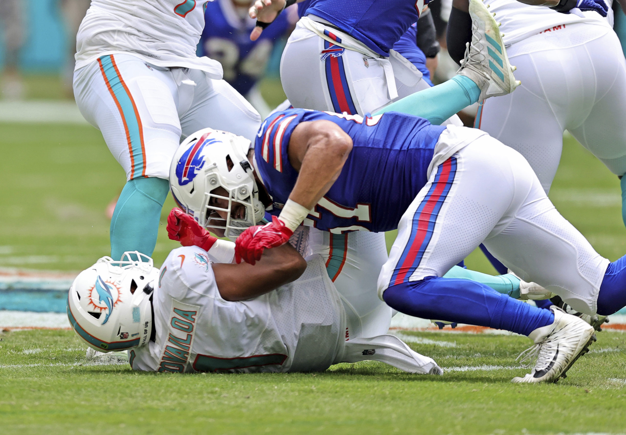 V-Ry the Sports Guy: Bills Squish the Fish - THE WELLSVILLE SUN