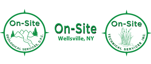 Hard work, team effort paid off as Wellsville Sea Lions capture another ...