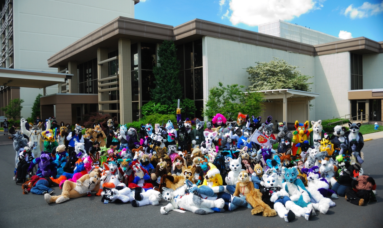 Hornell City School: Litter boxes ‘not happening’ for students ...