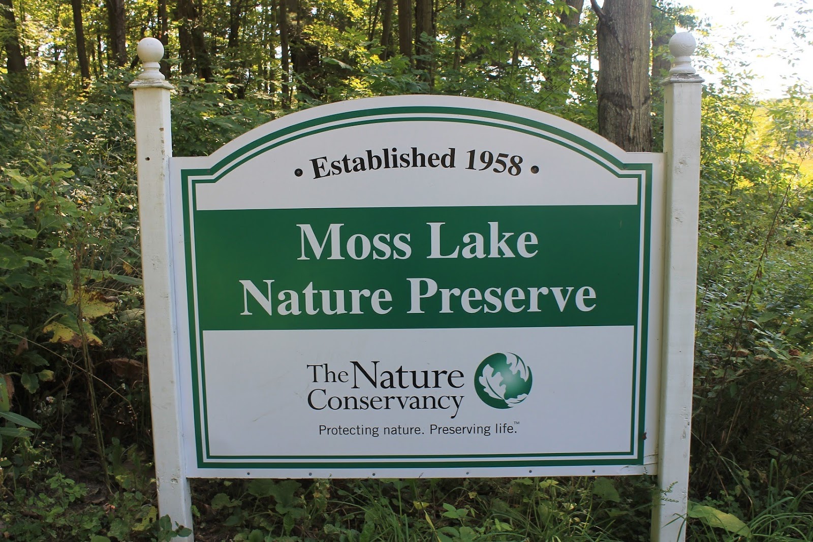 Exploring the Western NY Wilds: Moss Lake – a rare and amazing habitat ...