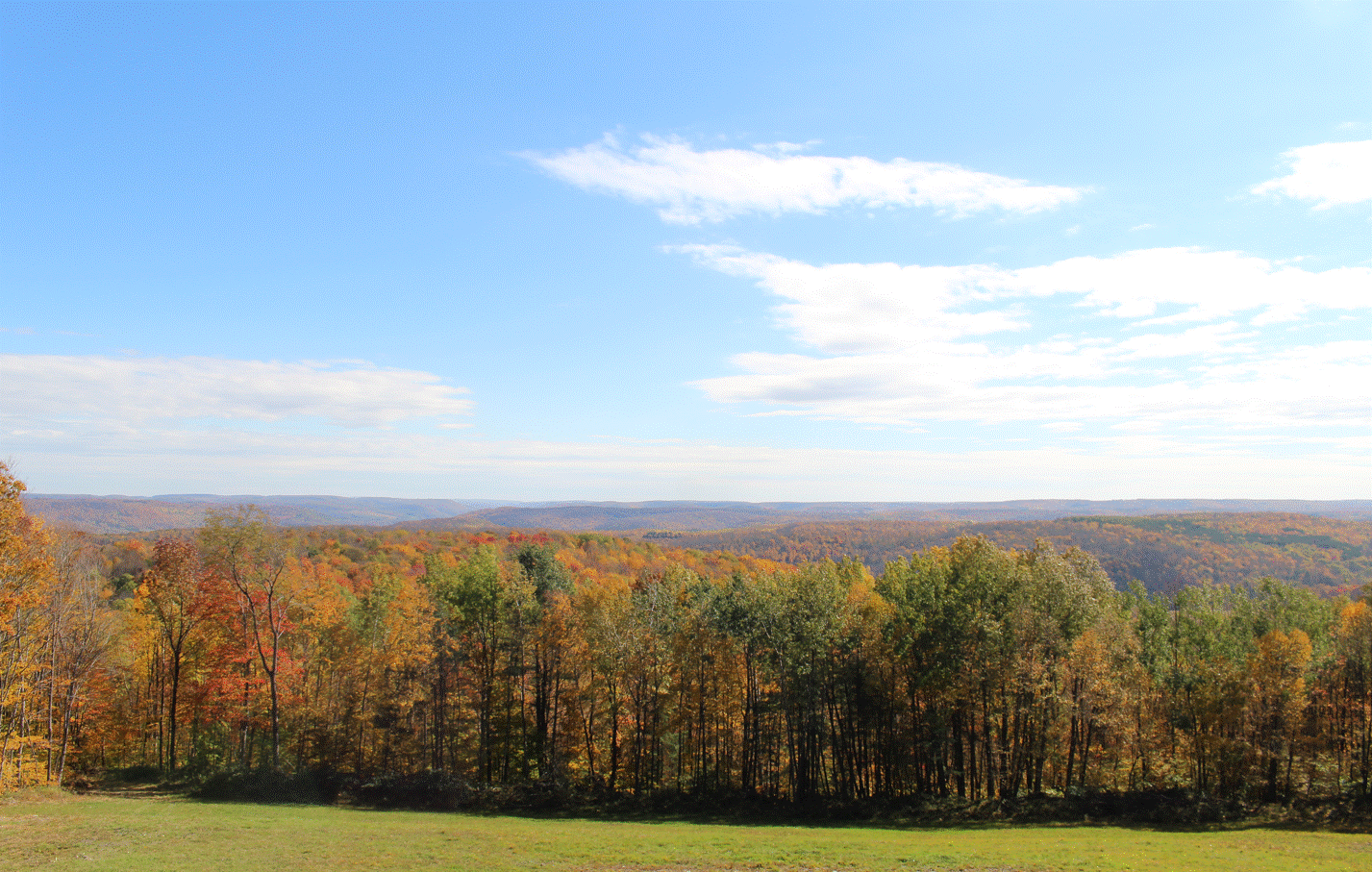 Ridgewalk 2022: On the hilltop with Rich Shear - THE WELLSVILLE SUN