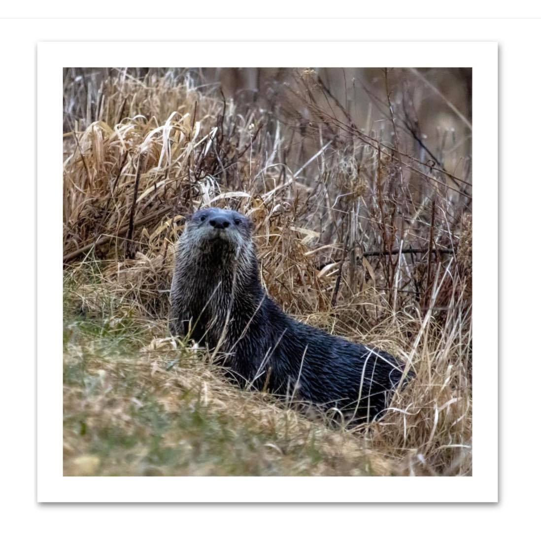 Finally! The Mel Hunt 2023 Calendar is now available, view slideshow ...