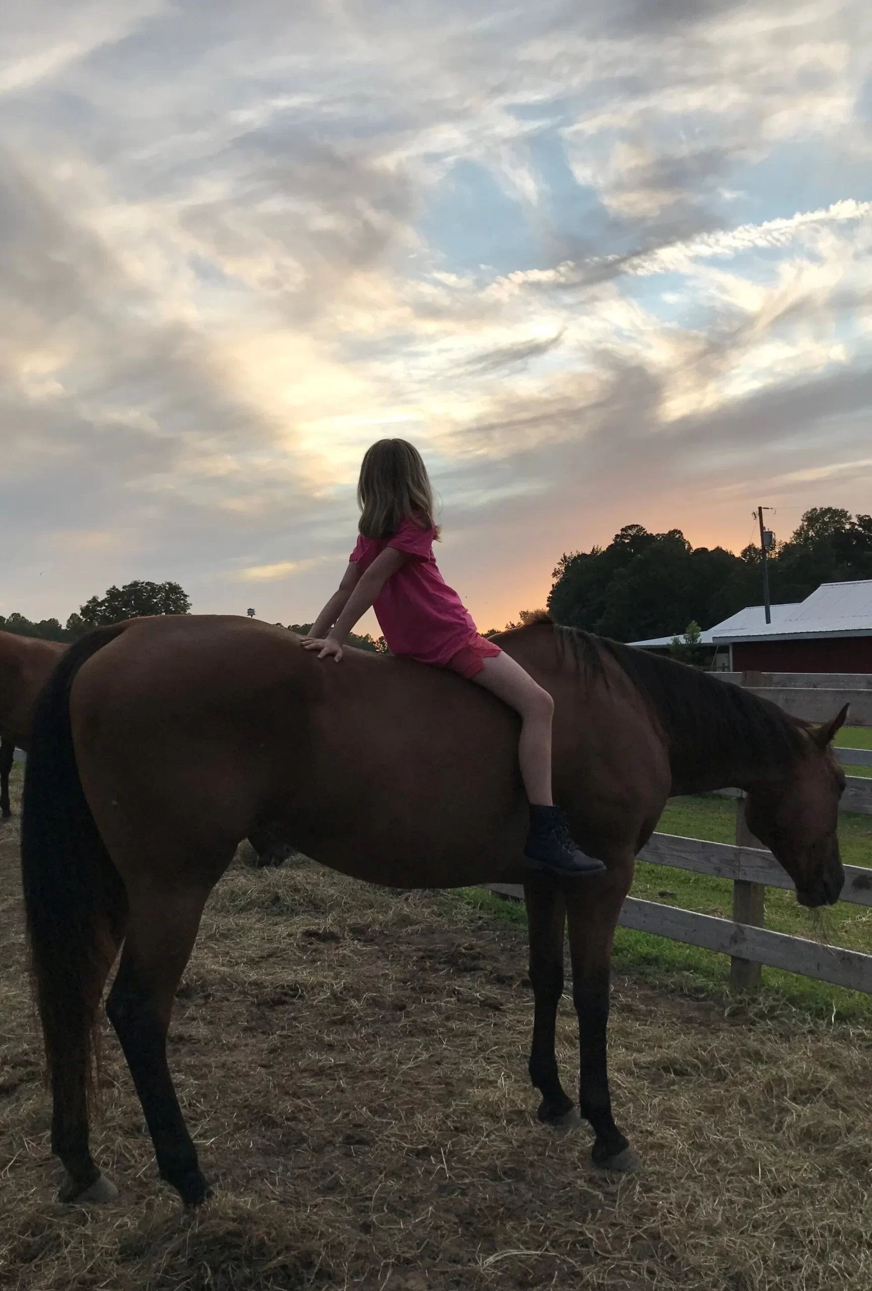 Do you know about Wildfire Ranch in Friendship NY? See the slideshow ...