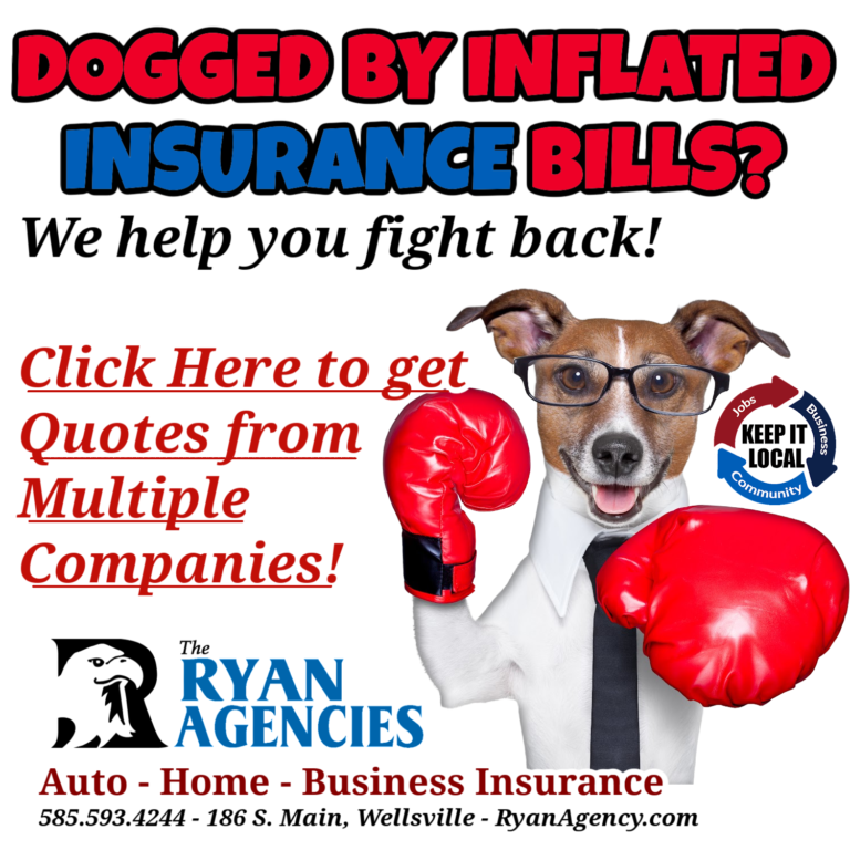 Josh Allen and the Buffalo Bills spoof Wellsville's Ryan Dibble's TikTok video of deer watching ...