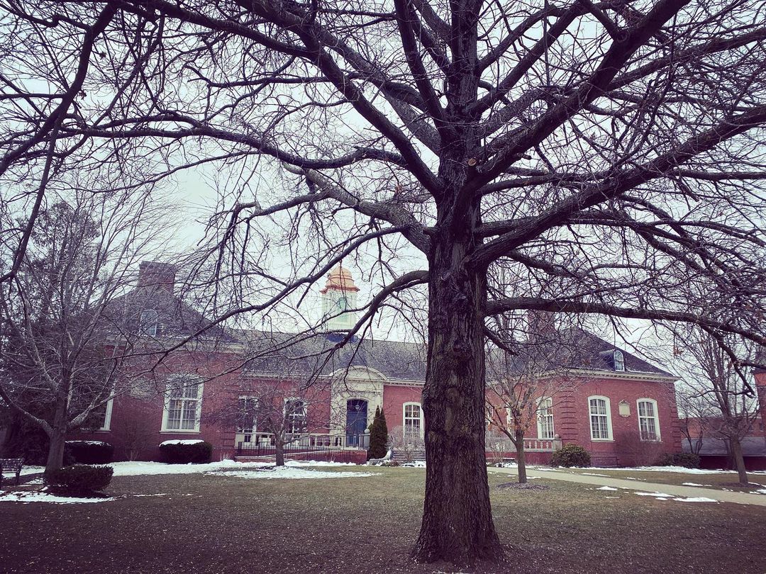 David A. Howe Library laments longstanding oak tree couldn't be saved ...