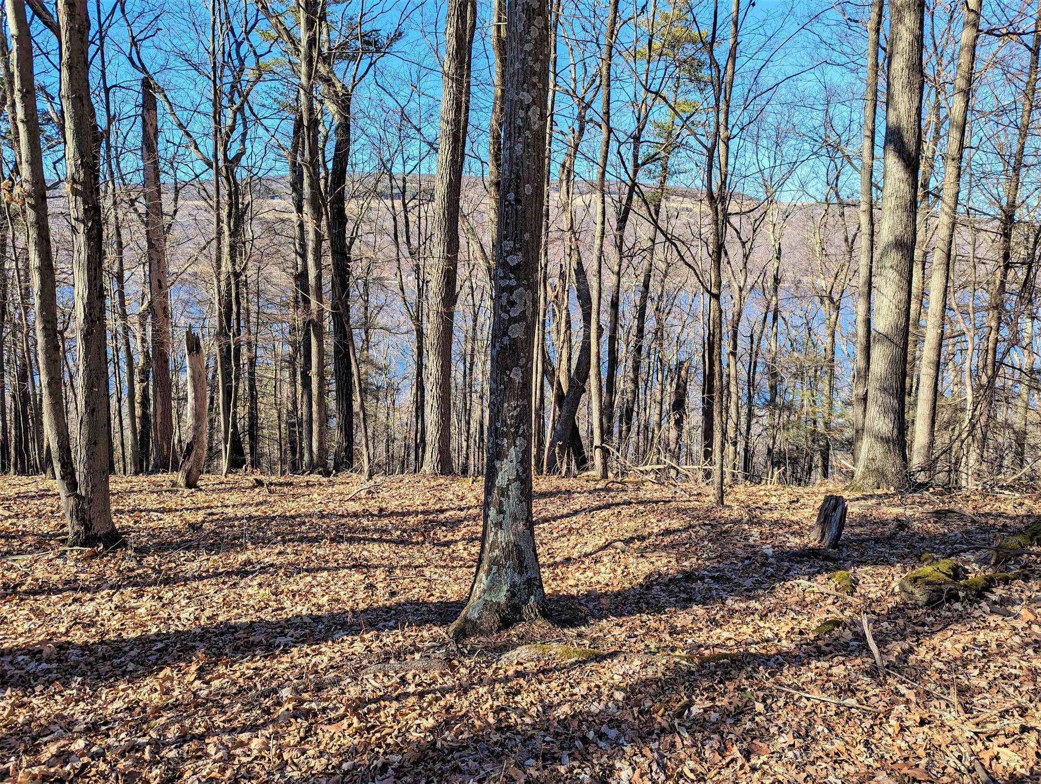 NY LandQuest: Keuka Lake acreage in the heart of "Wine Country", must ...