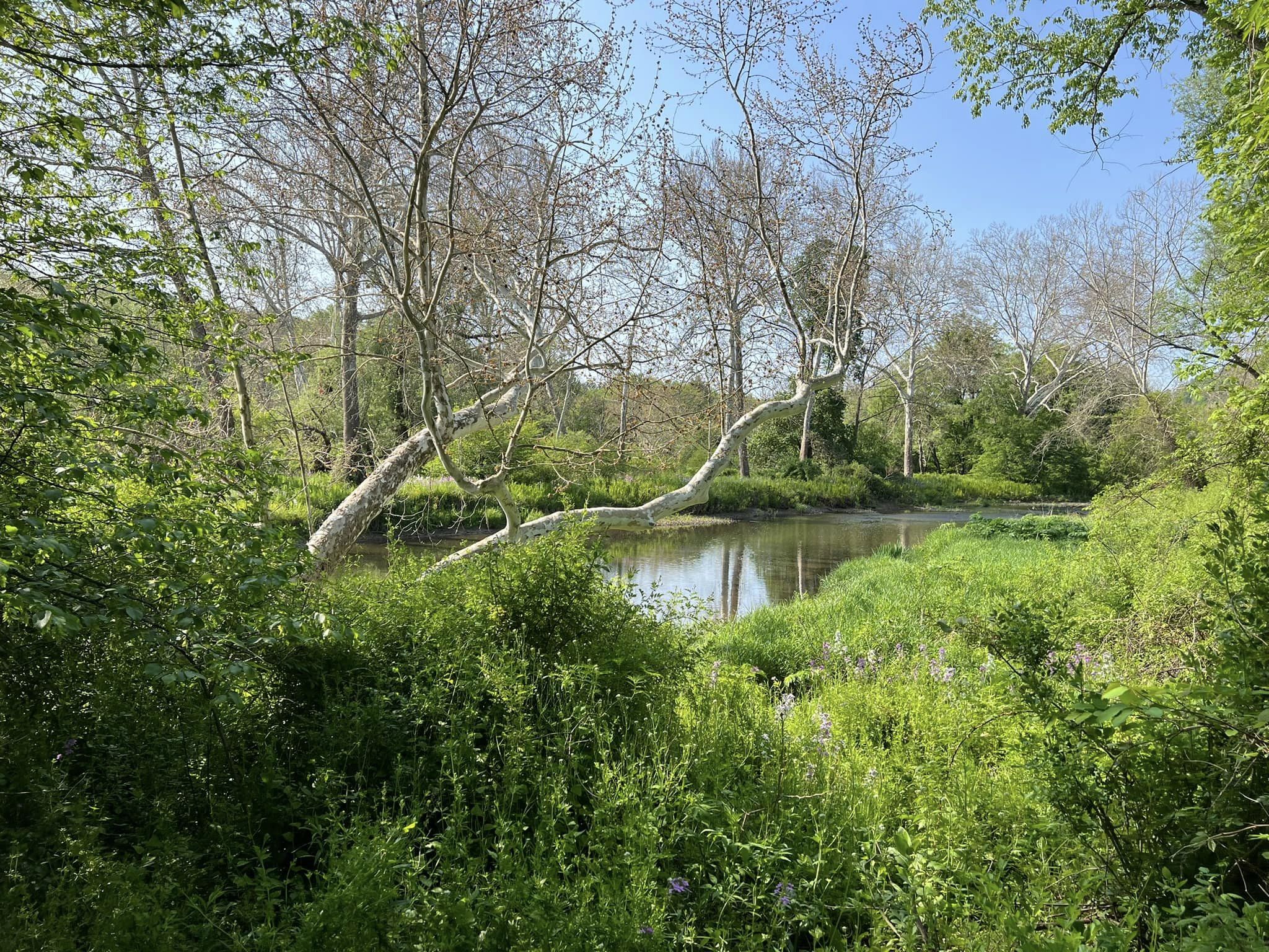 Logan's Way: Dunbar earns MVP, Perkins provides spark as Wellsville ...