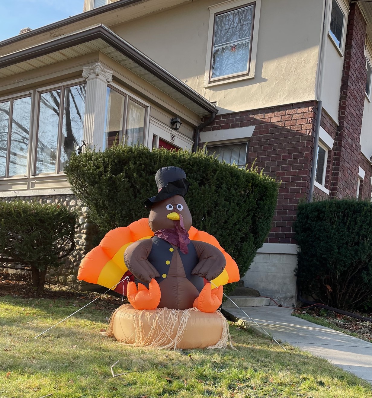 Op-Ed: "Respect the Bird," celebrate Thanksgiving and then worry about ...