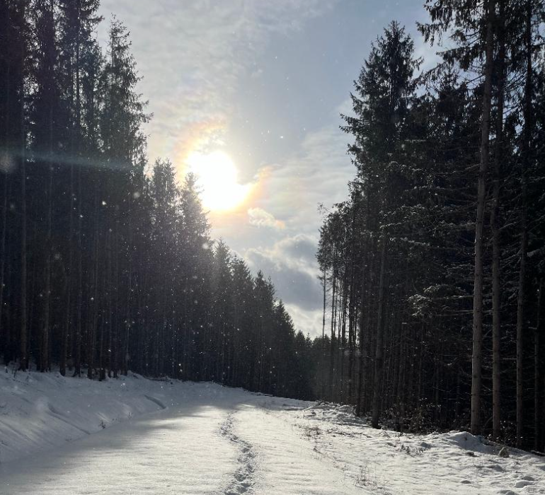 Bare Knuckle Boxing Hall Of Fame Announces: TRYOUTS - THE WELLSVILLE SUN