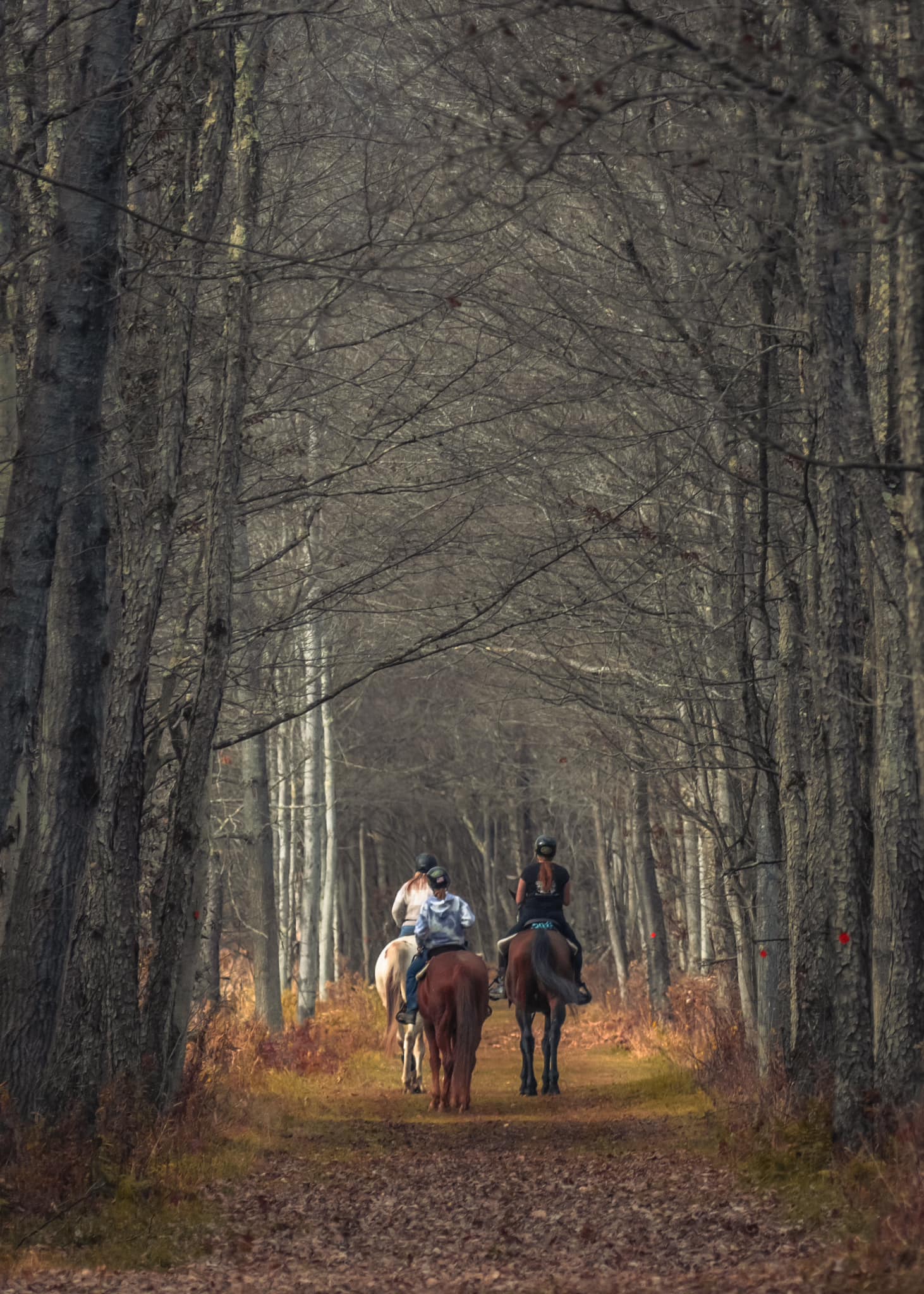 Introducing "Walking the WAG," new regular feature on iconic Wellsville ...