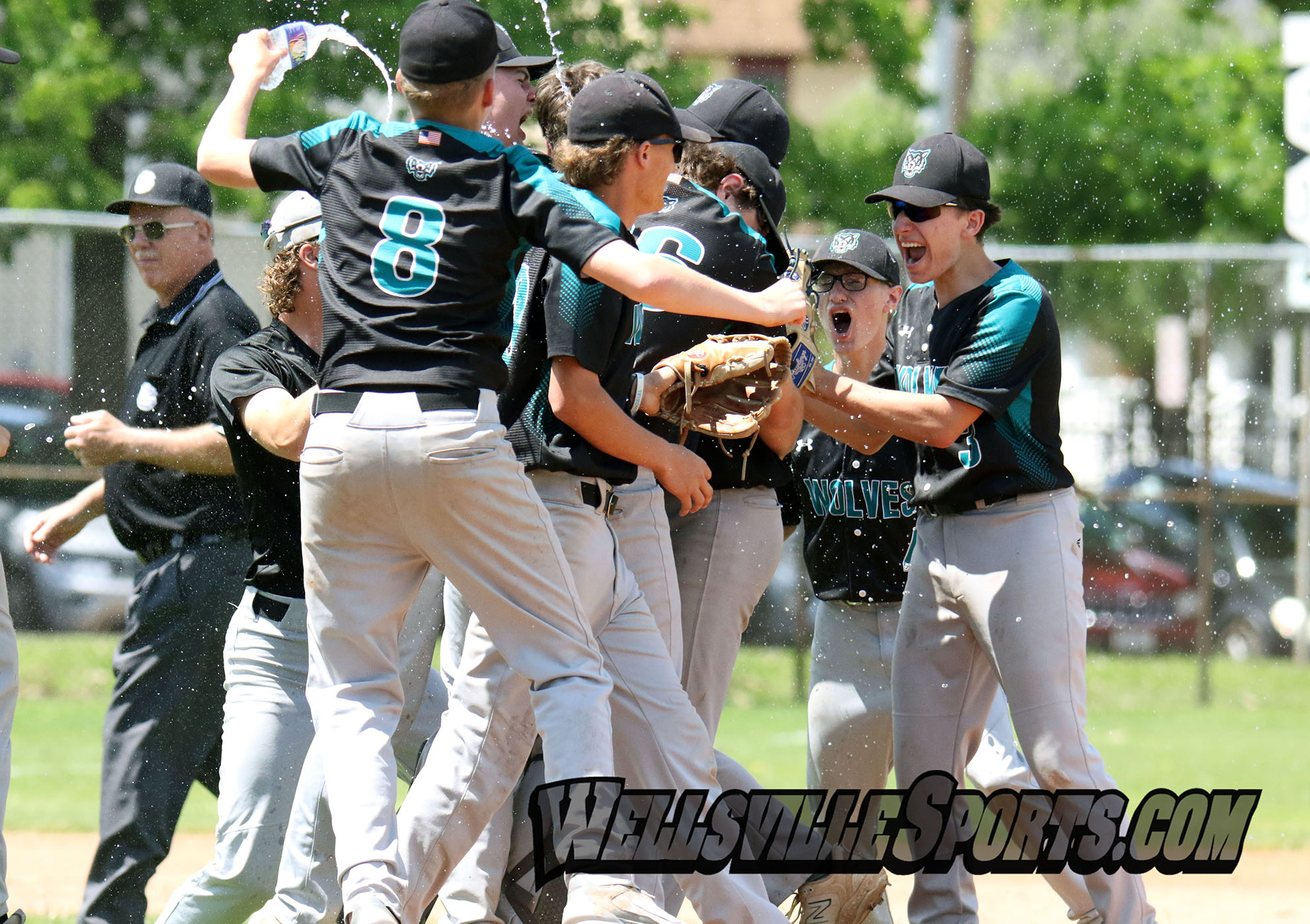 Arkport-Canaseraga needs two days but wins Section V baseball title ...