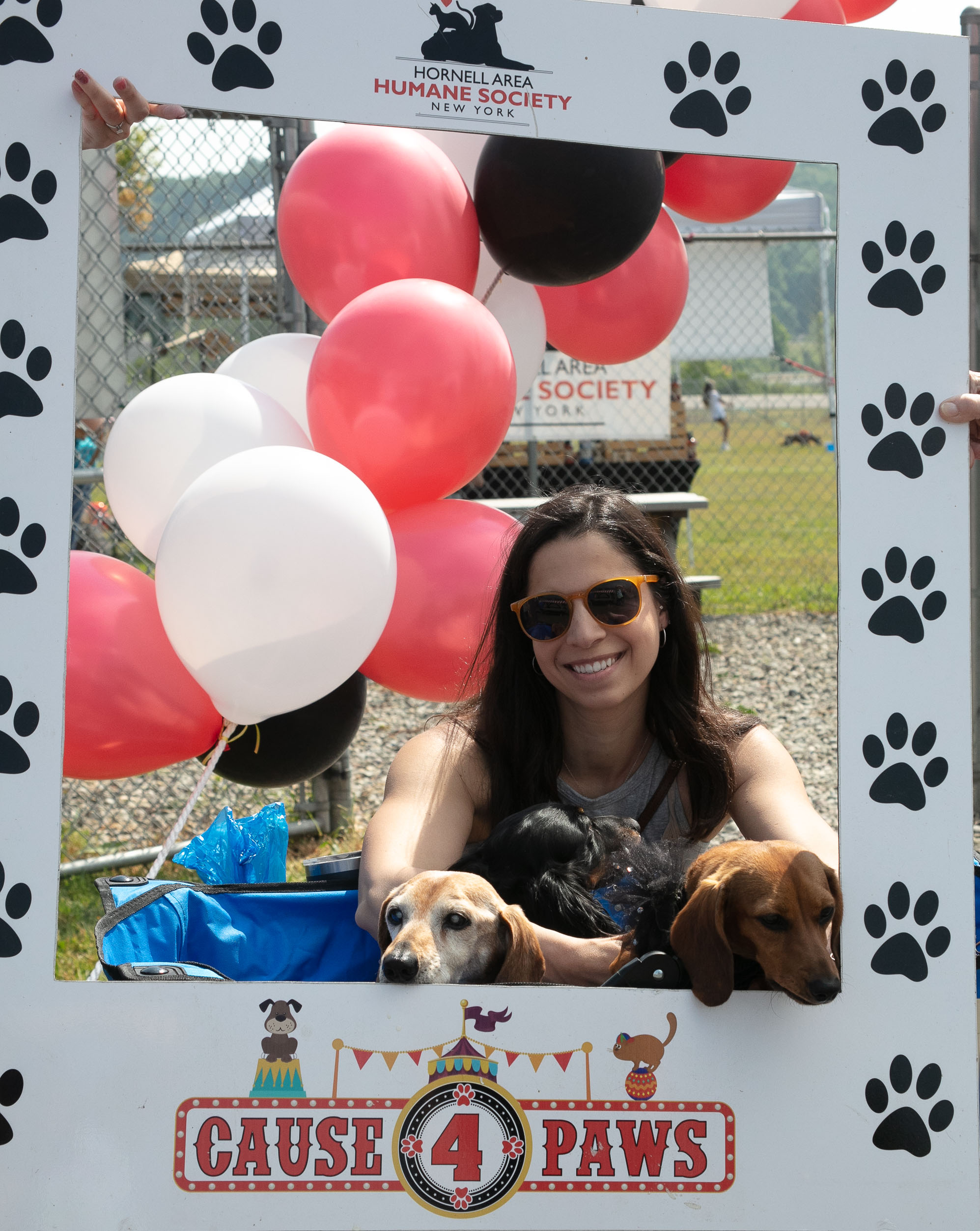 Cause 4 Paws: Hornell’s Ultimate Celebration of Pets, Community, and ...