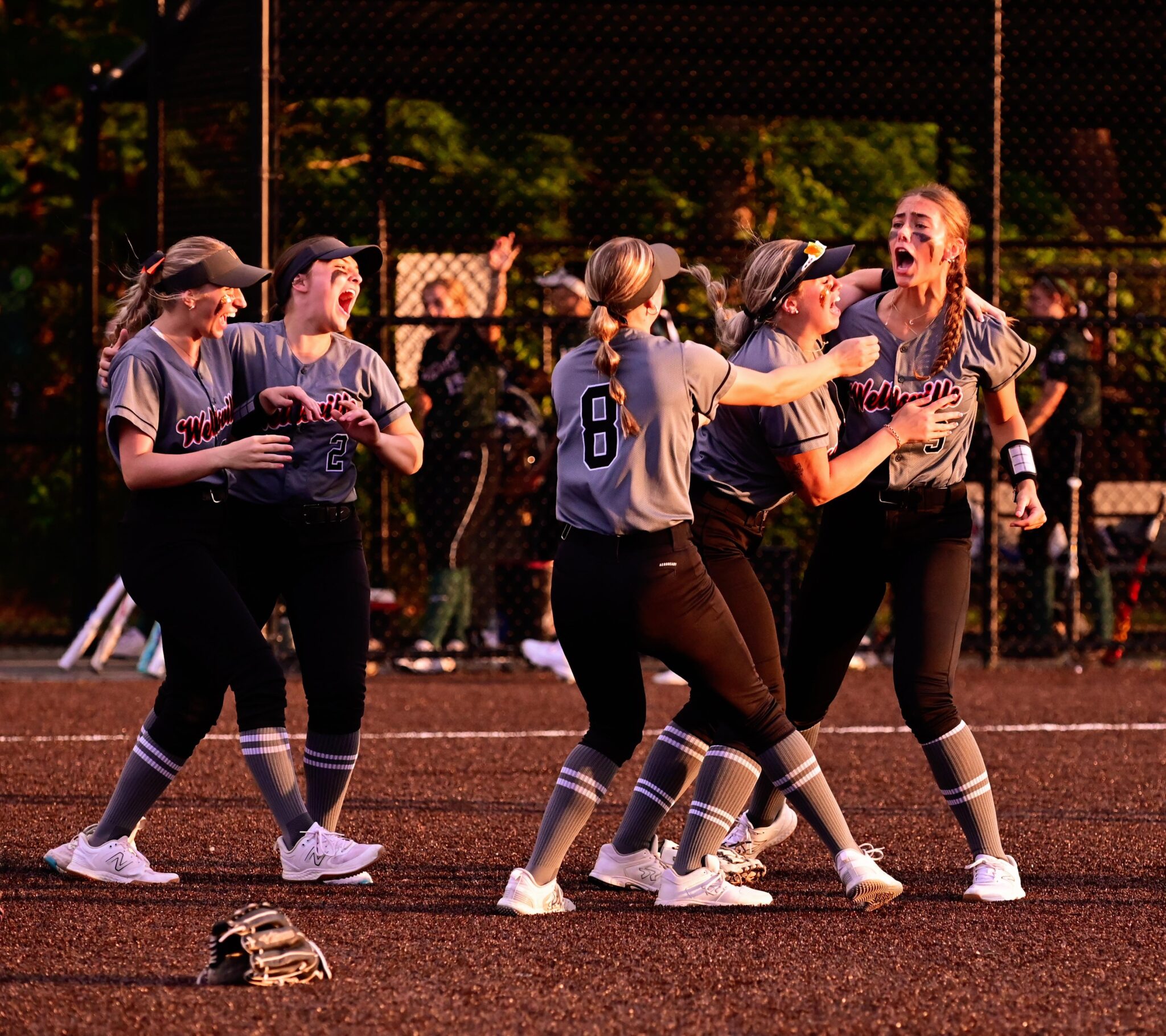 Dunbar's home run, Cowburn's 11 K's leads Wellsville softball to NYS ...