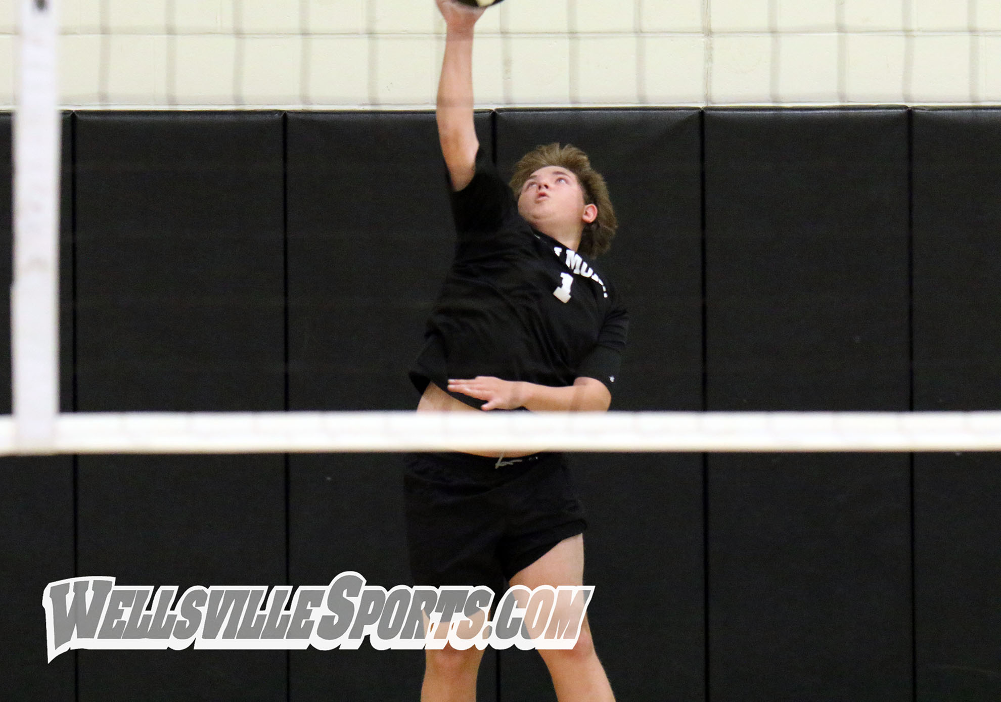 Chris Brooks reports: Basketball, volleyball wrestling stories and ...