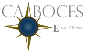 Cattaraugus-Allegany CTE BOCES announces Honor students for 1st Quarter ...