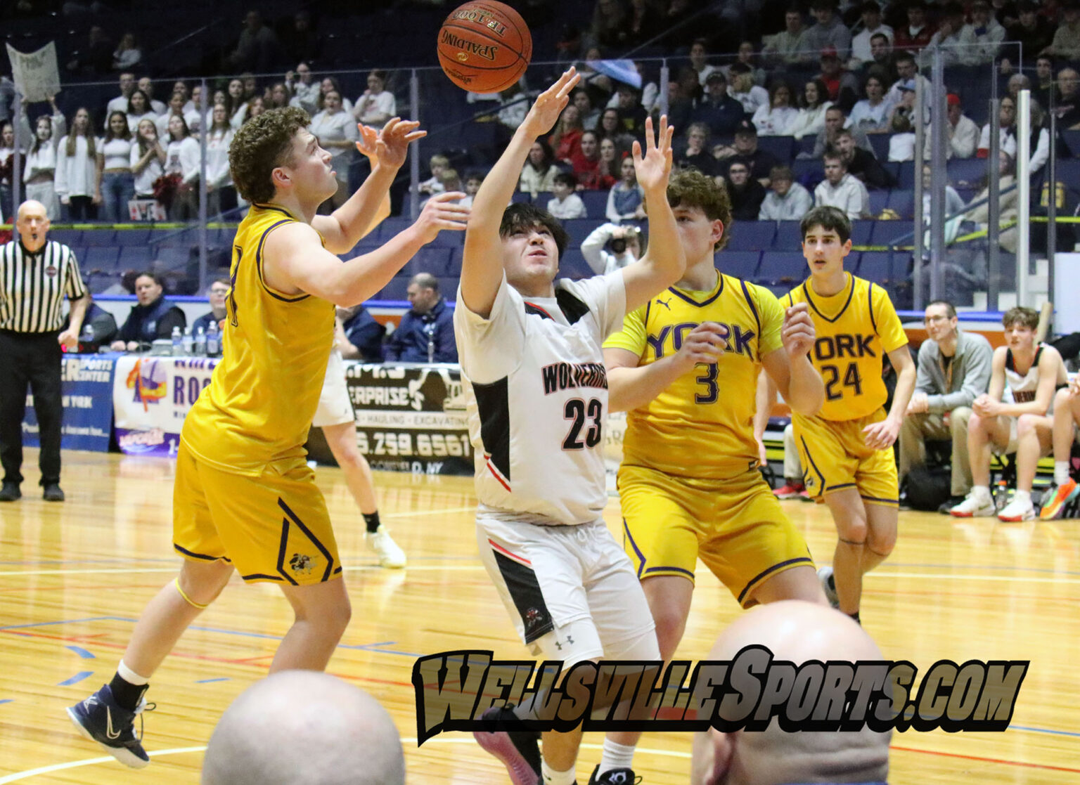 Bolivar-Richburg boys basketball, the young Fillmore Eagles girls' team ...