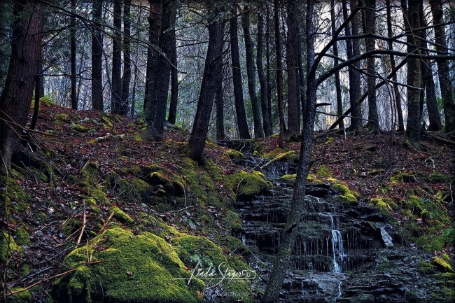 Off and Runnings!! Today is the official opening of Wellsville's new ...