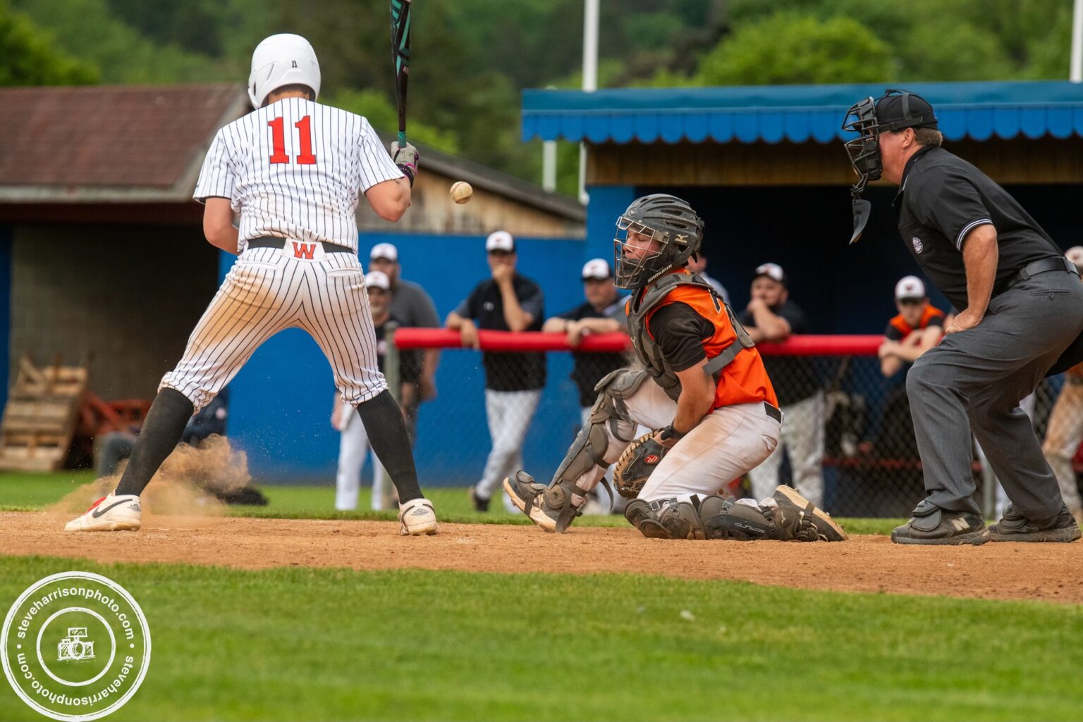 Cowburn 14 K's pitches Wellsville into semi's; Potter throws 9 innings ...