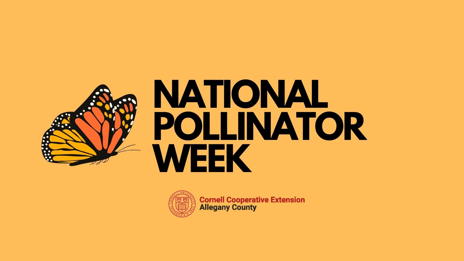 Celebrate National Pollinator Week! - THE WELLSVILLE SUN