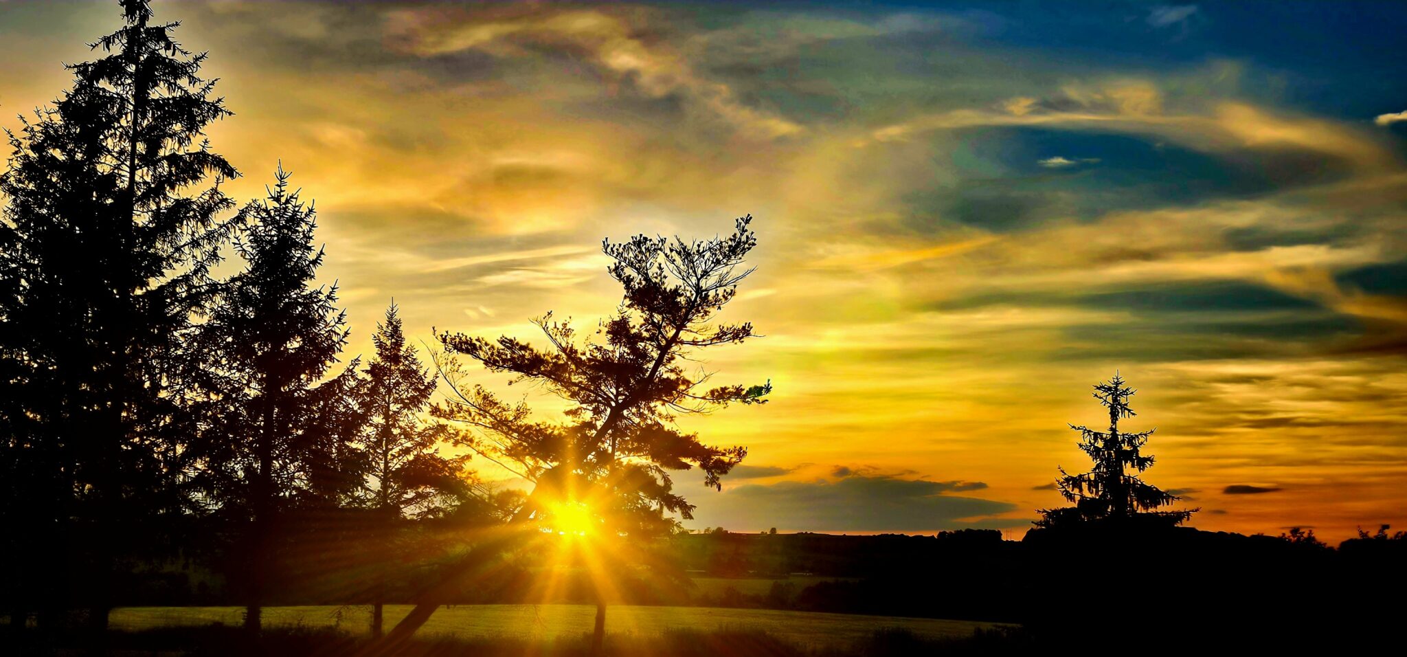 2025 End of Summer Outdoor Photography Contest Winners ! - THE ...