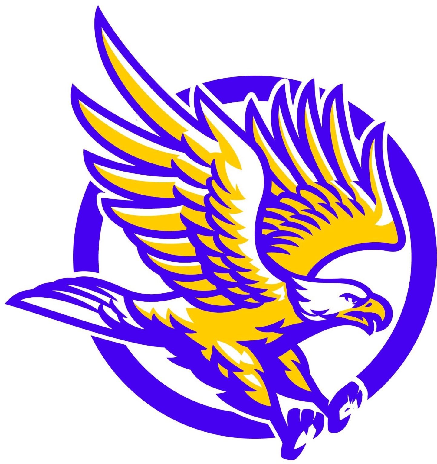 Allegany County girls soccer standouts named to Section V All-Tourney ...