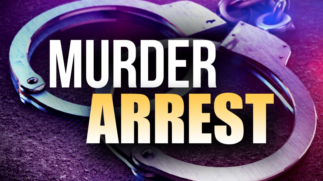 Two brothers shot to death, third brother charged with murder - THE ...