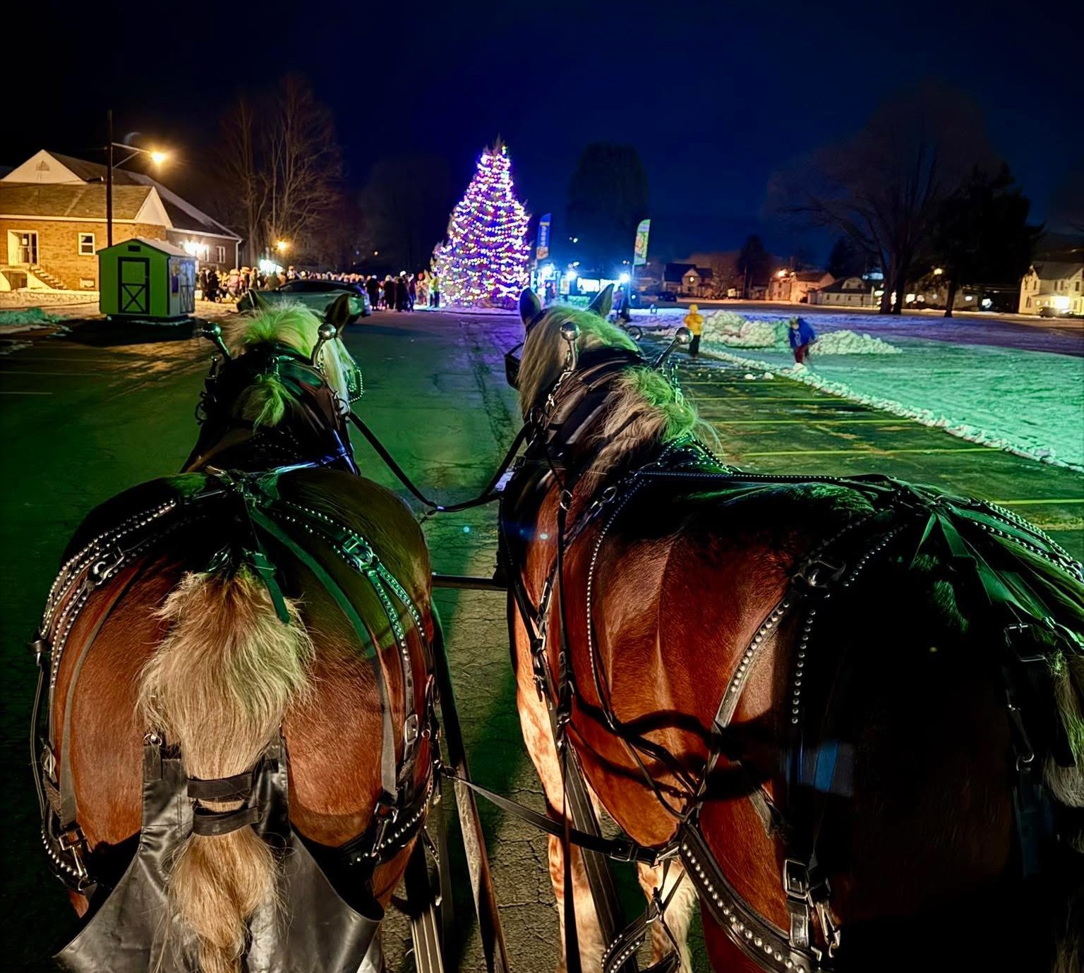 Community Celebrates the Season with Festive Holiday Event at Highland ...