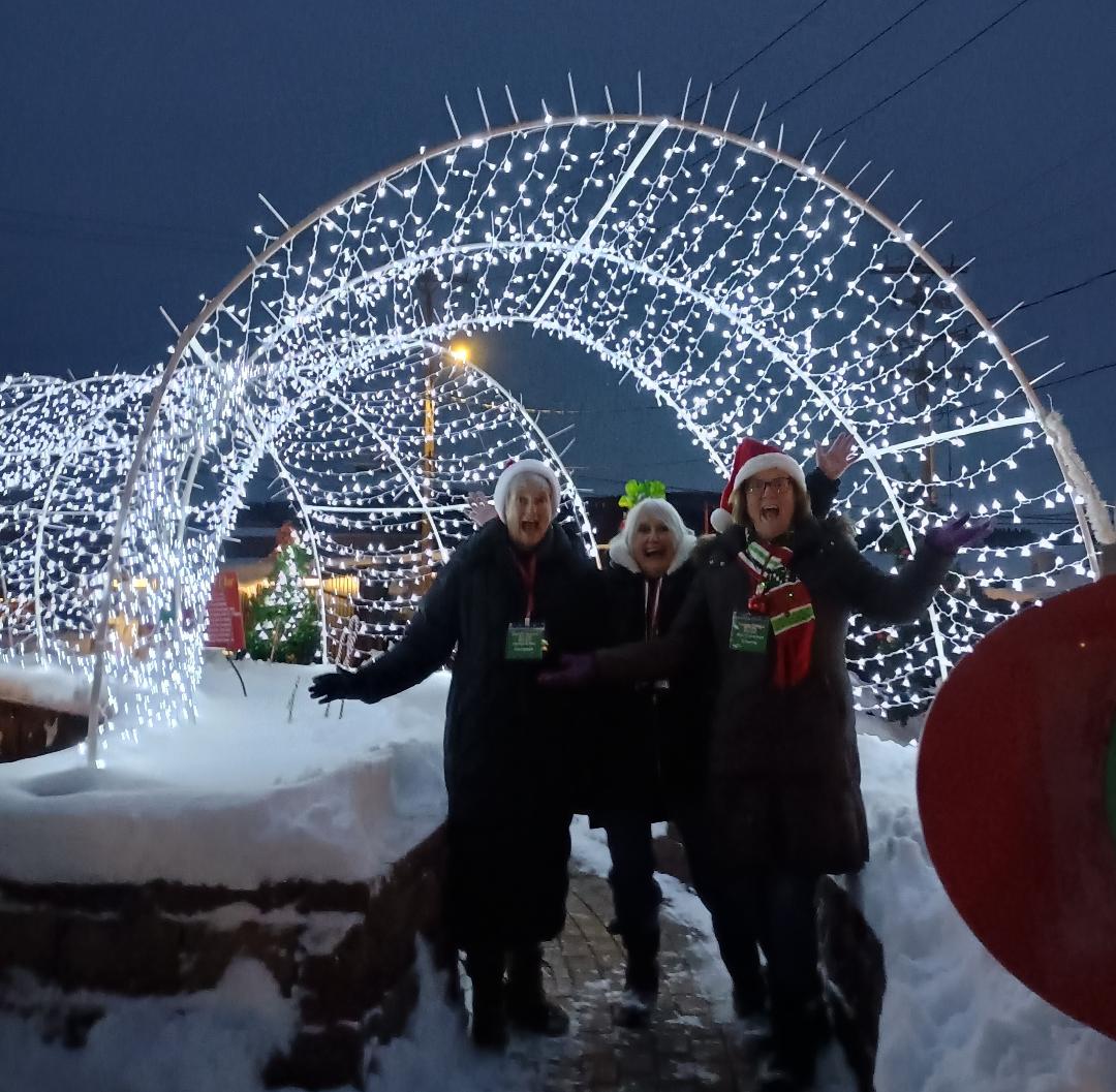 Opening night of "Jingle and Glow" Lights Up Main Street Wellsville ...