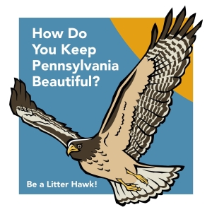 Causer: Be a Litter Hawk! Youth contest now open - THE WELLSVILLE SUN
