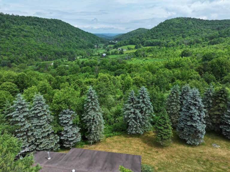 NY Land Quest For Sale: Secluded slice of heaven in Cuba NY is ...